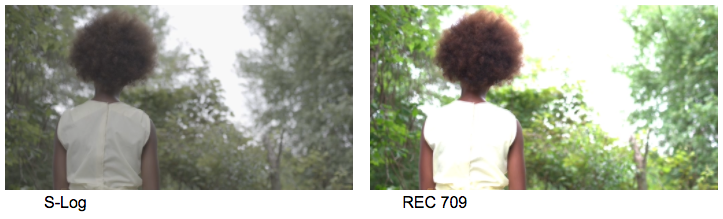 Using S-Log Footage in After Effects – Emerson College Technology & Media