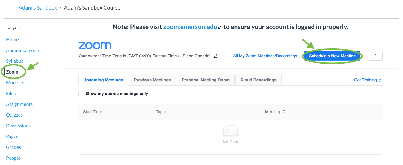 Best Practices for Teaching and Learning with Zoom – Emerson College ...